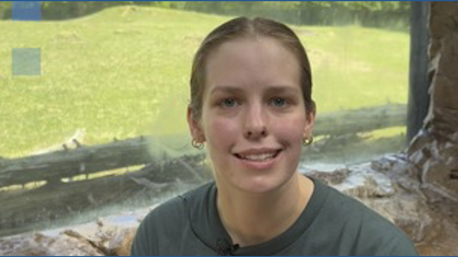 Exploring the Caldwell Zoo: Taking a look at the African penguin exhibit