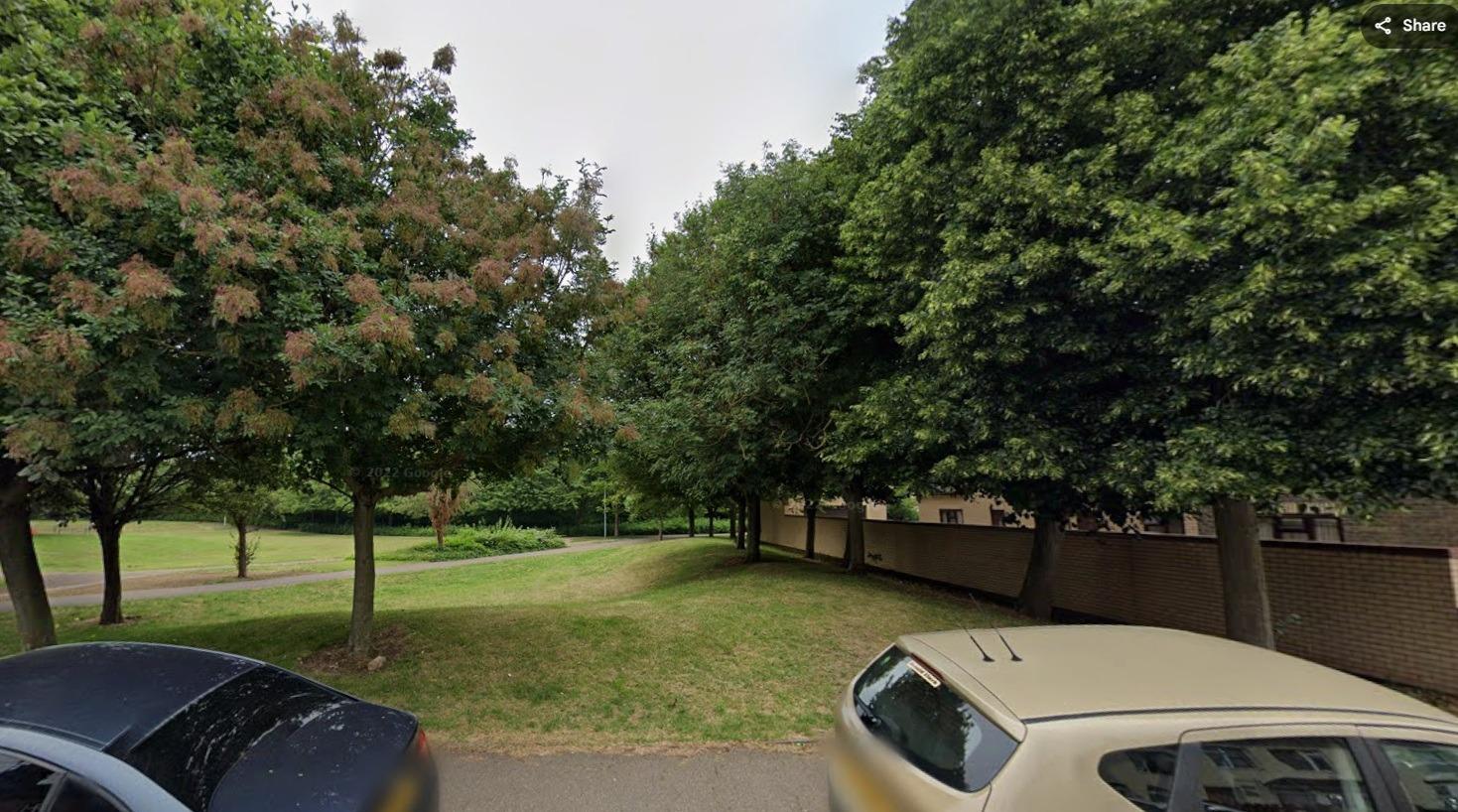 Extra police patrols and bush cutting planned to tackle drug use at ...