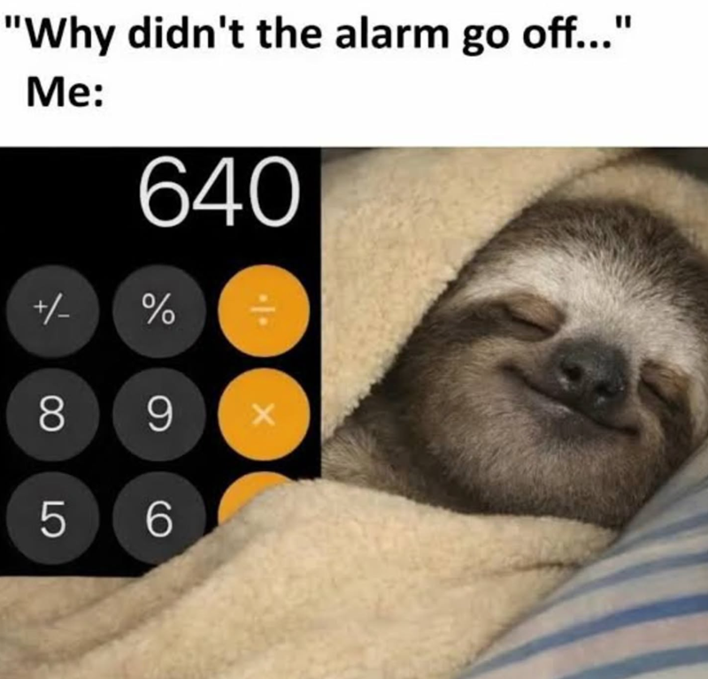 Mentally buffering since Monday: 22 sloth memes for people emotionally ...