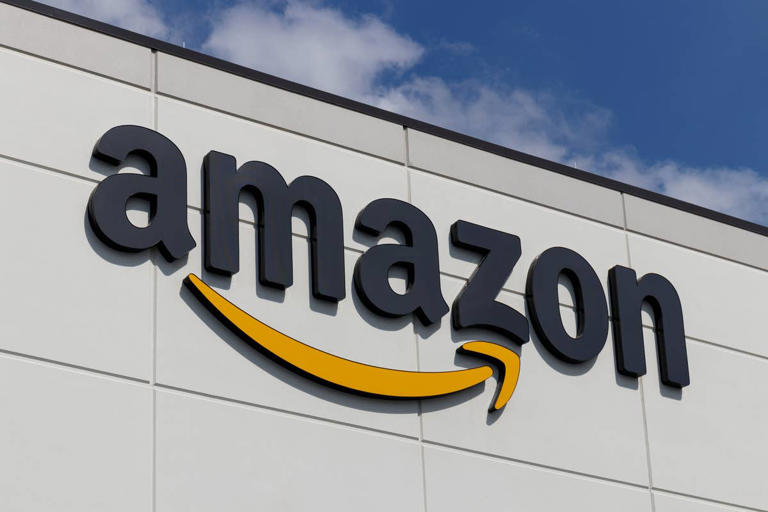 Amazon's beautiful $21 cat scratcher mat looks like a piece of art