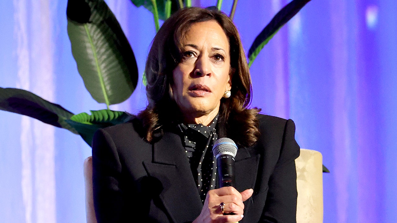 Democrats release 2024 election autopsy that chair says 'does not meet ...