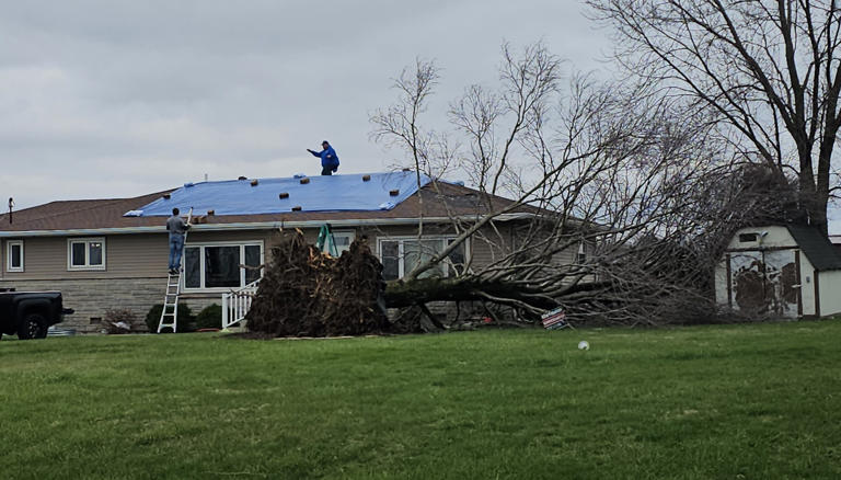 Storm victims encouraged to report Do Not Call violations
