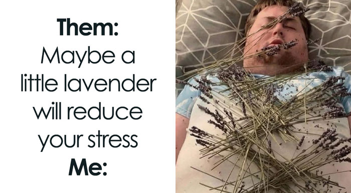 68 funny random memes to help you cure your afternoon boredom