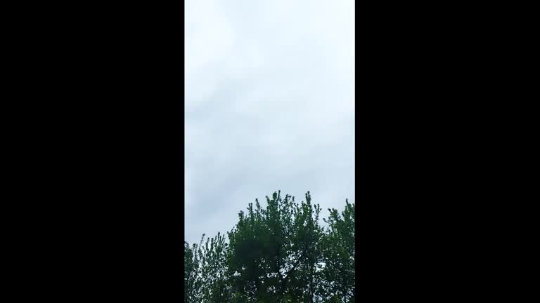 Siren sounds in Lithuania's Utena County during drone alert