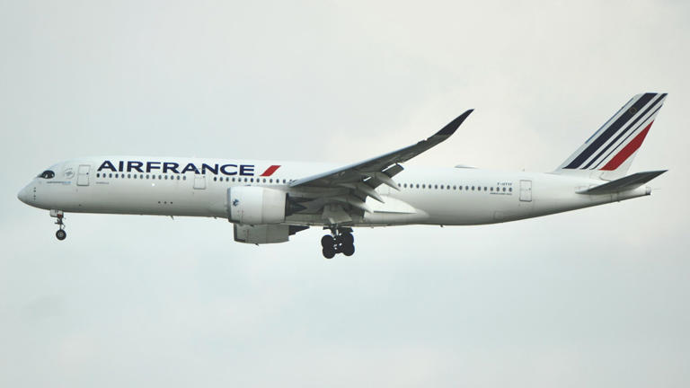 Avion : attention au bagage cabine payant chez Air France