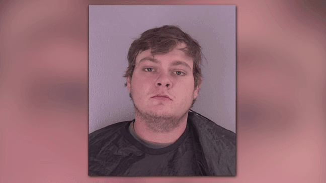 Man accused of trying to illegally sell captured baby fox in Virginia