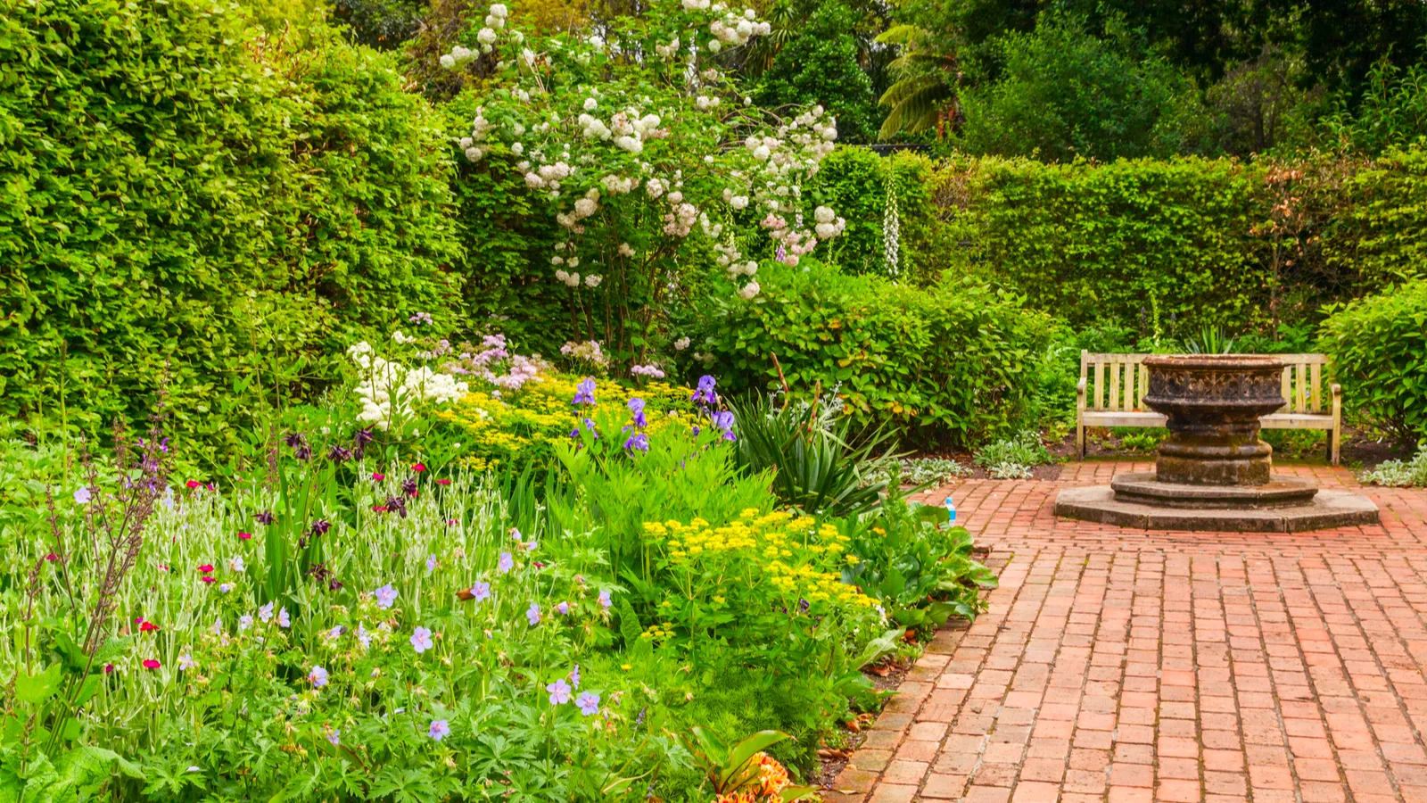 Garden border plants that give structure and color through every season