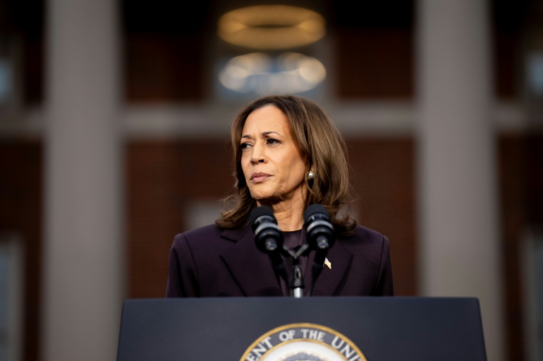 US Democrats release - and disown - 2024 election autopsy