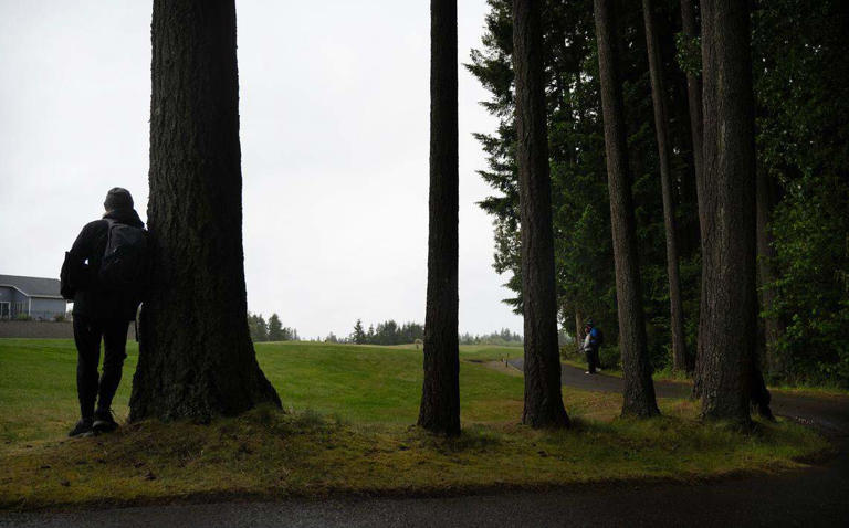 State golf: Winners, leaderboards at 2026 high school tournaments in ...