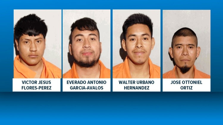 Four arrested, accused of offering to have sex with undercover Toledo ...