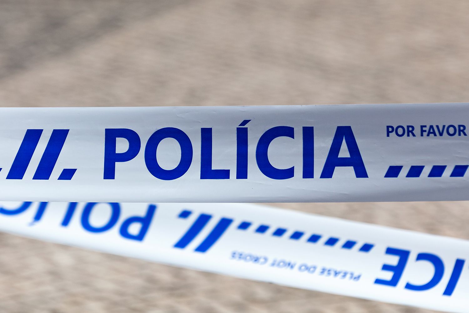 Brothers, 5 and 4, found 'screaming and crying' in woodland after their ...