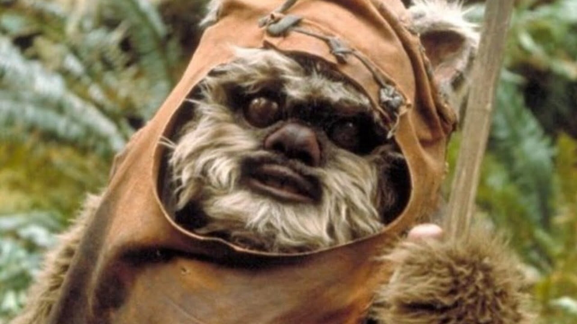 The Ewok adventures finally explained