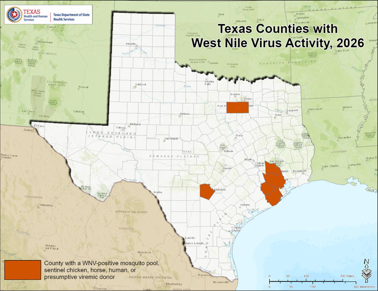 Texas reports first West Nile virus case of 2026. How to avoid mosquito ...