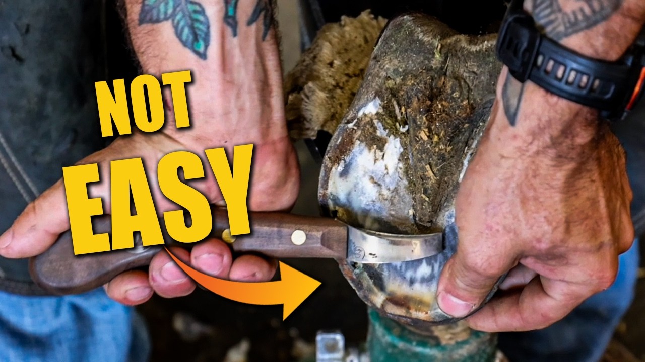 Satisfying hoof makeover you can't miss!