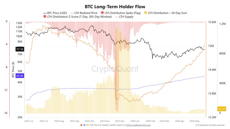 Chance of new Bitcoin lows 'extremely slim' as long-term holders ...