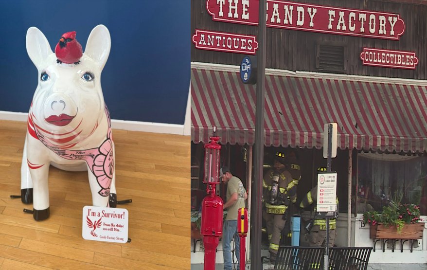'Miss Puffy' a true Lexington staple survives fire that destroyed The ...