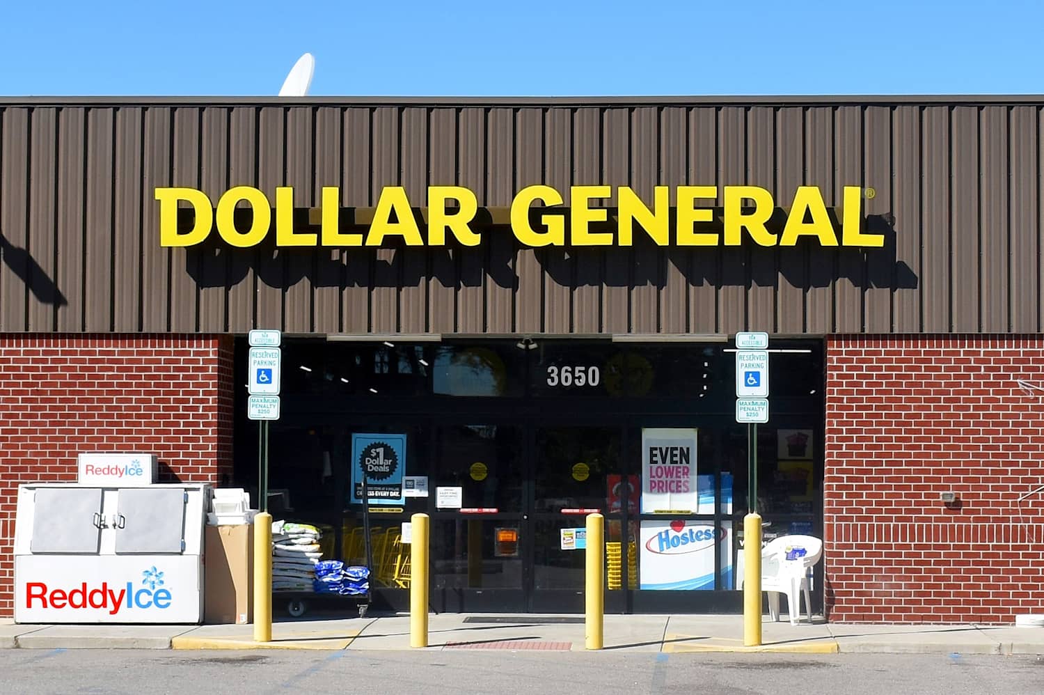 Dollar General is selling the cutest minis to start a fairy garden, and ...