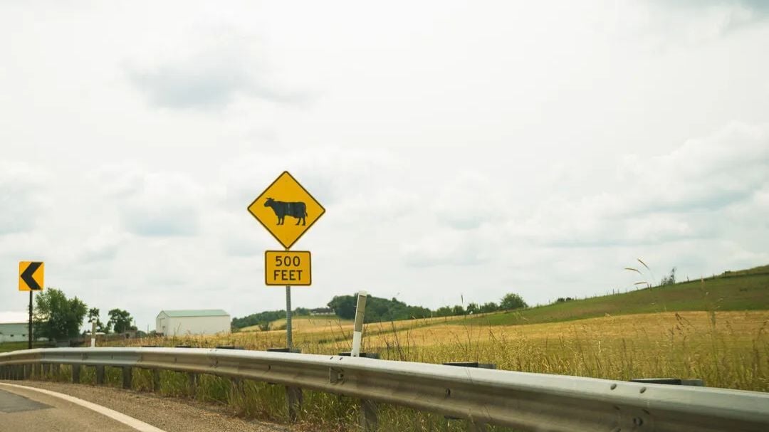 Farmland prime for data centers, but at what cost?