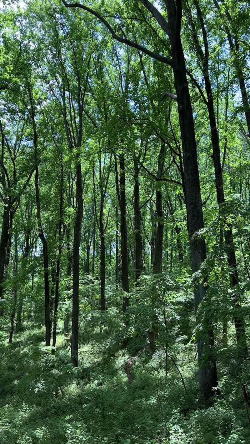 This 3.6-mile long path is great for running, biking, and discovering ...