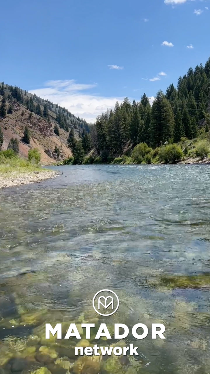 Wild swimming in Idaho’s lakes is reason enough to head north