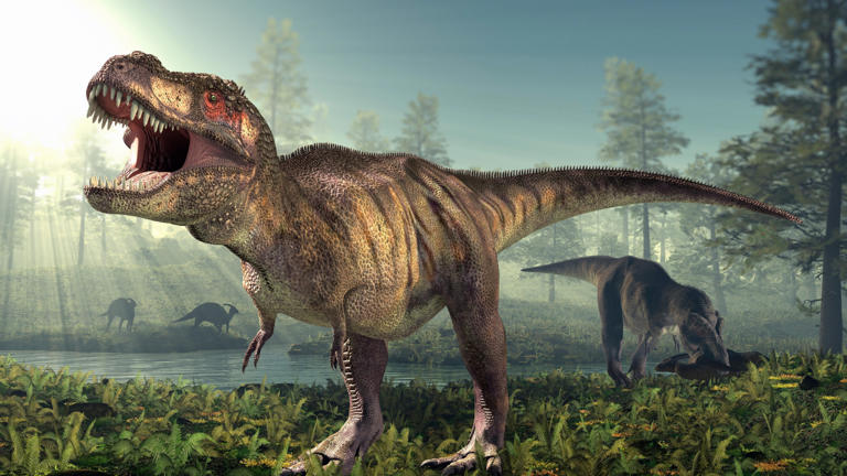 There's a new T rex from the dinosaur age — and it ruled the seas with ...