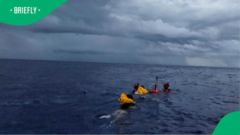 Woman who survived Atlantic Ocean plane crash speaks out after spending ...