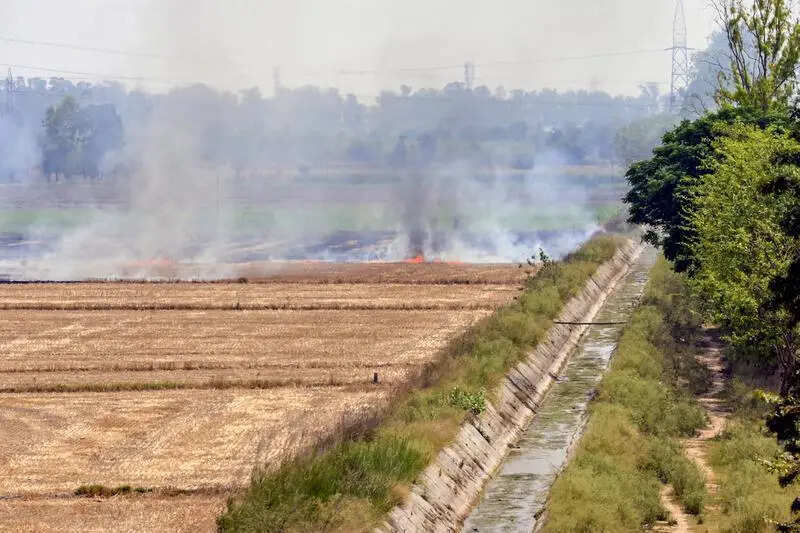 PB reports 47 fresh farm fire cases
