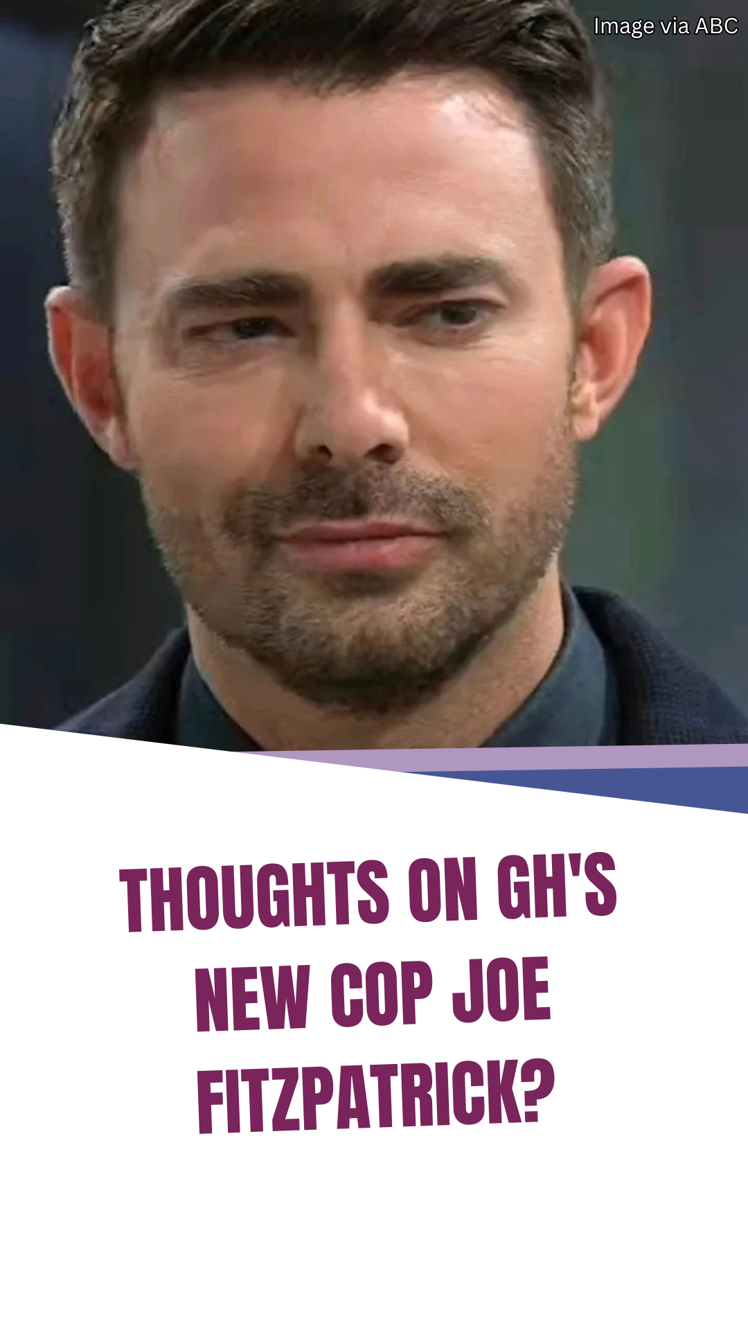Thoughts on GH's new cop Joe Fitzpatrick?