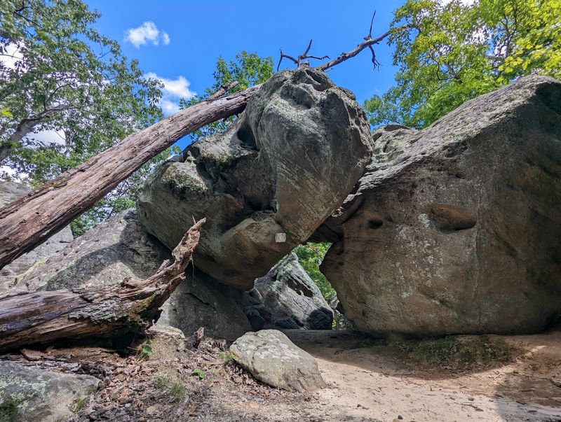 The Missouri 'Narnia Trail' that turns a simple family hike into a ...