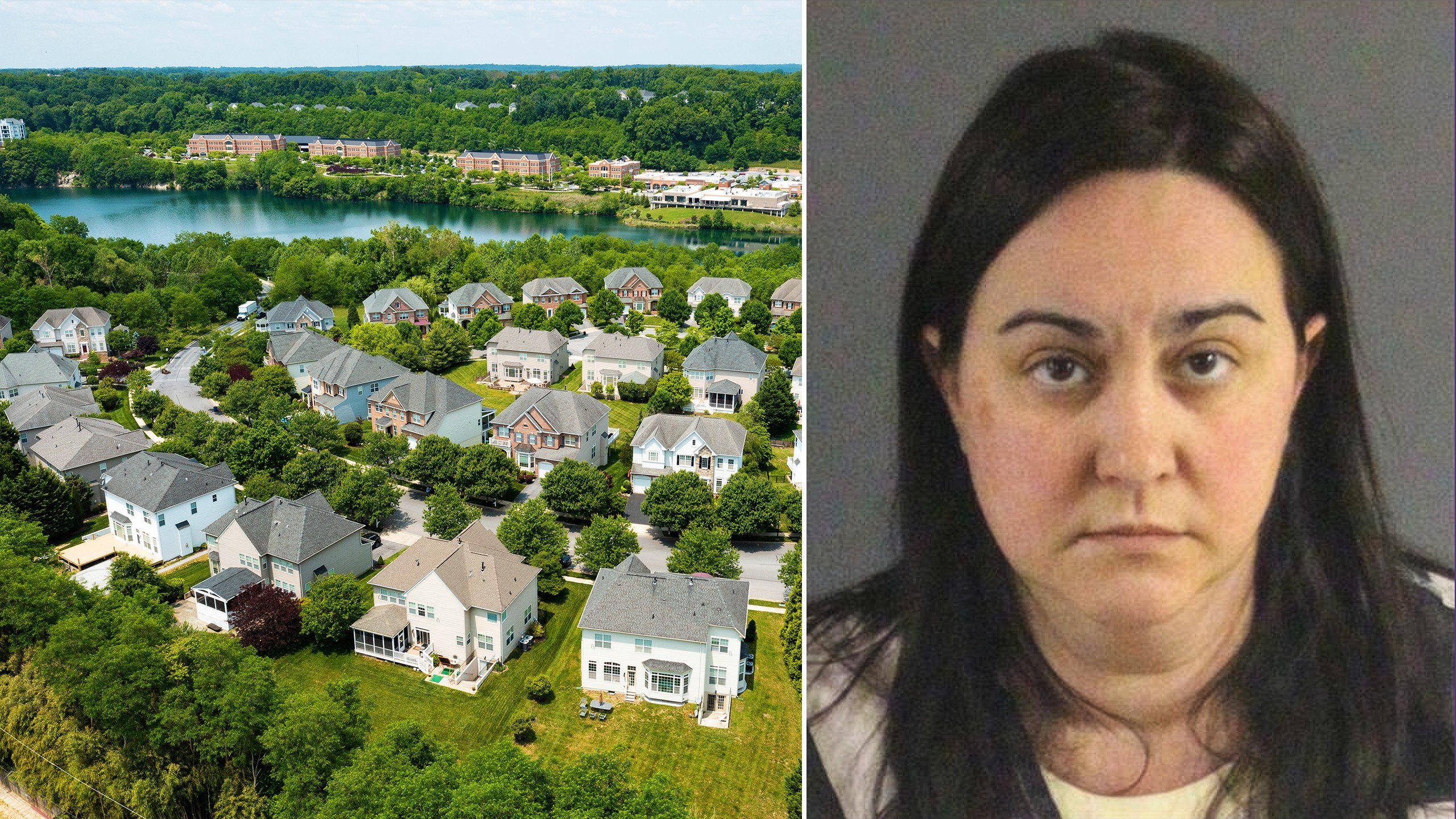 HOA Ponzi scheme mastermind gets prison for blowing resident dues on ...