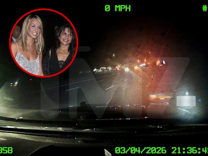 Britney Spears Talked About Mom Killing Bicyclist During DUI Arrest