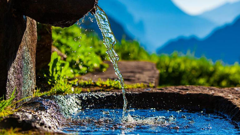 Why do bottled water brands taste different?