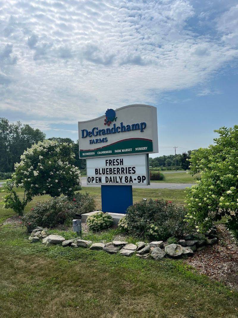 The scenic Michigan berry farm where you harvest your own fruit and ...