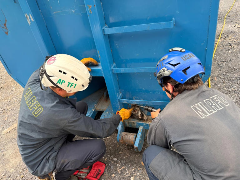 Rocket the raccoon saved after getting head stuck in dumpster in North ...