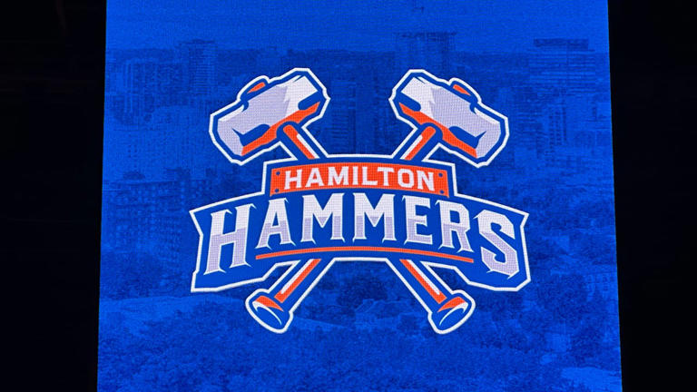 Hamilton's new American Hockey League team will be called the Hammers