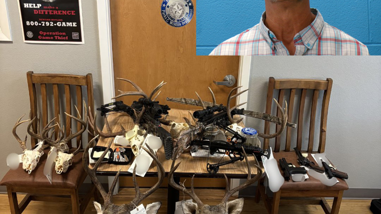 Texas game wardens say man illegally killed 13 deer, left carcasses to ...