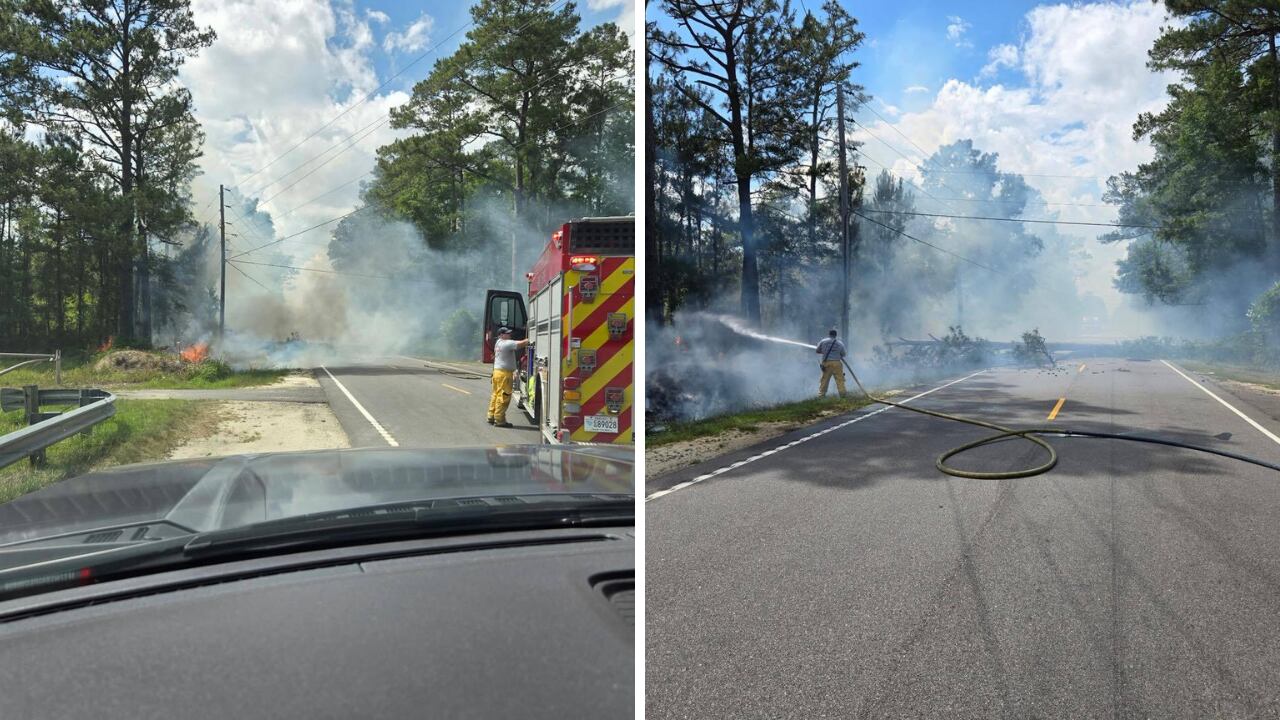 Tree falls on power lines, sparks brush fire in Georgetown County