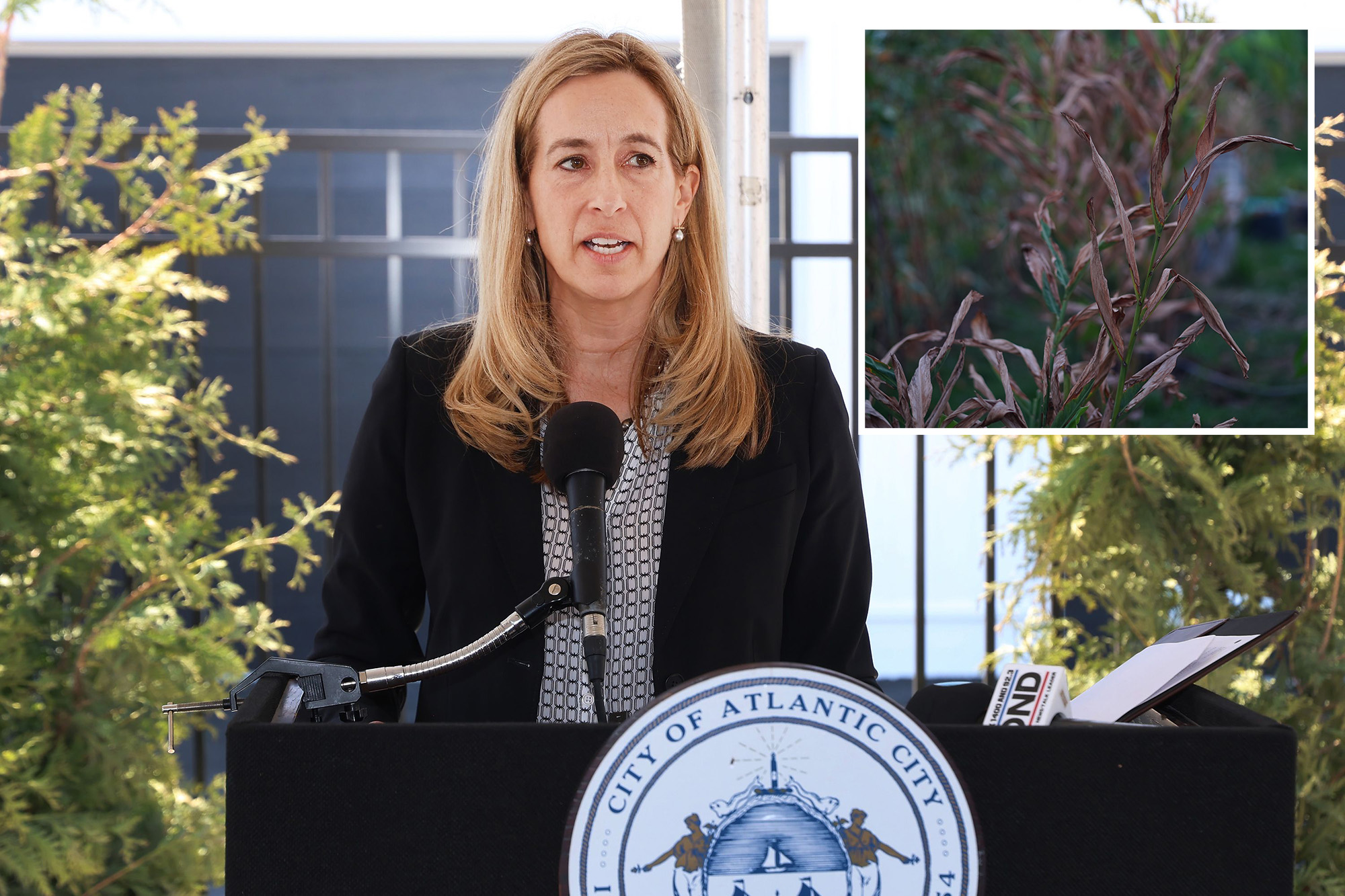 NJ declares state of emergency after devastating cold snap wipes out ...