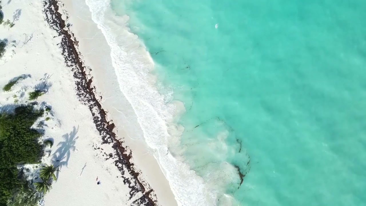 メキシコ、イスラ・ブランカ島：ドローンが隠された白い砂浜を発見