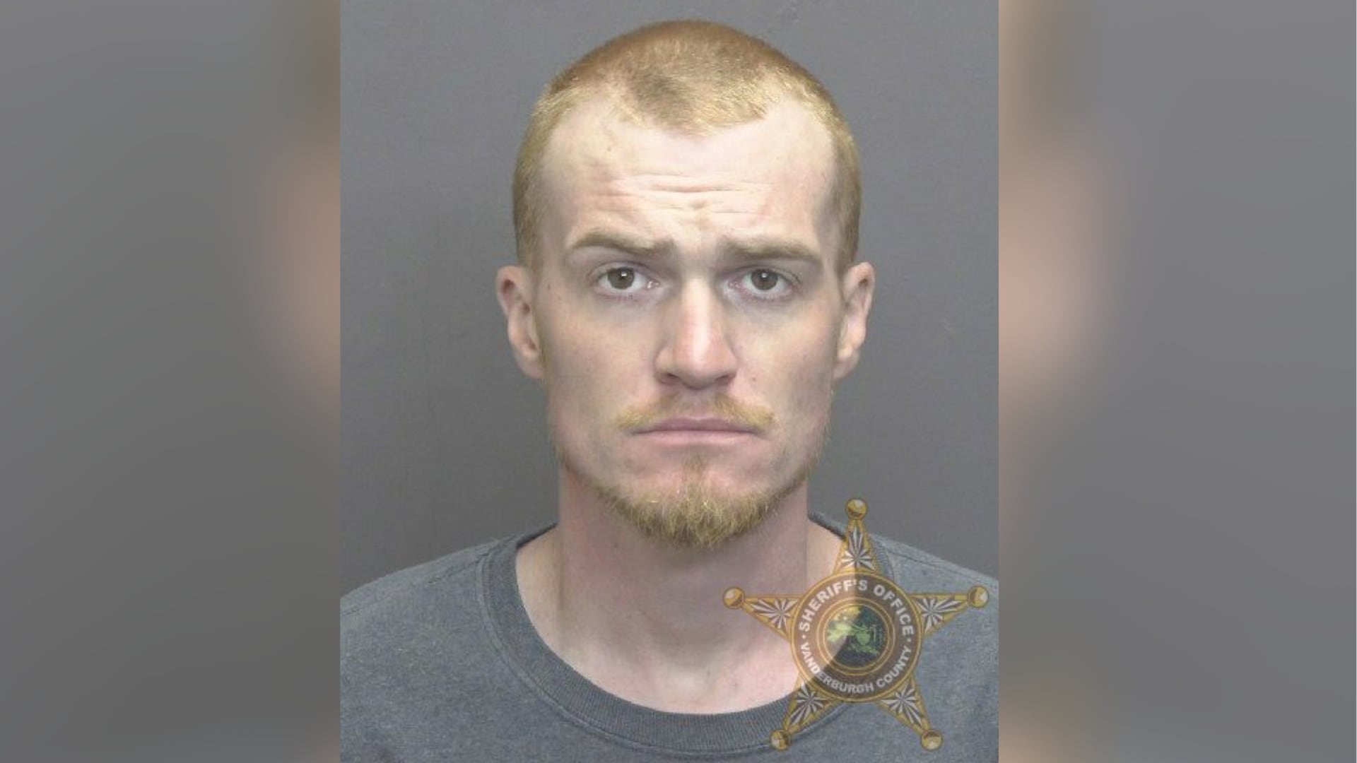 Man arrested for stabbing neighborhood cat in Evansville