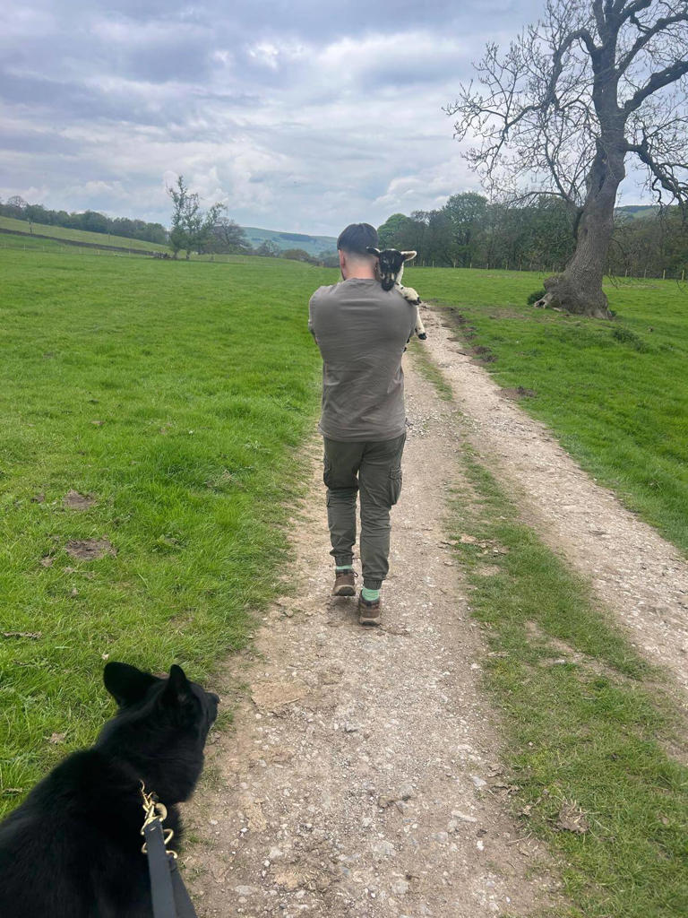 Police dog was enjoying his retirement — until he spotted a baby in trouble