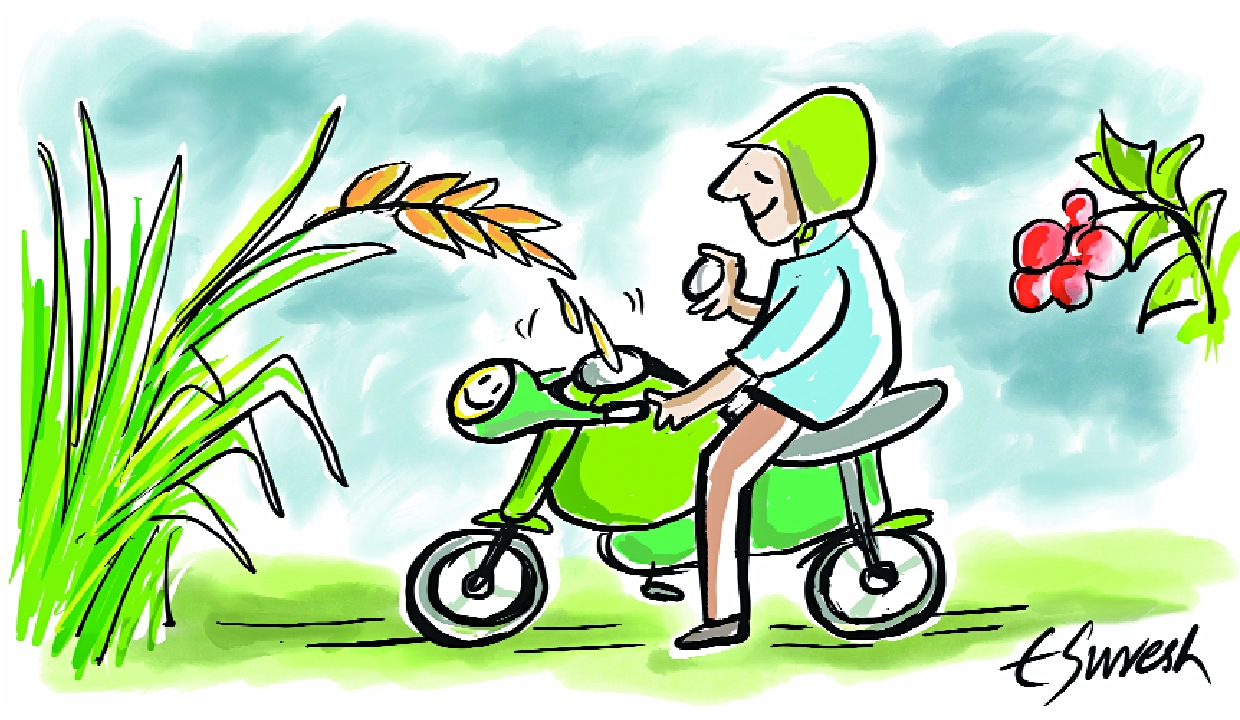 Flex-fuel: The future of India's ethanol push