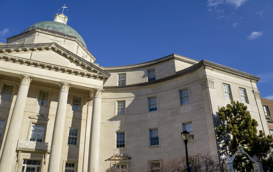 Yale study reveals early drivers of physician–scientist careers