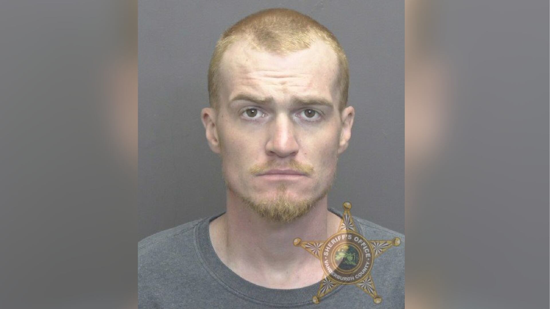 Man arrested for stabbing neighborhood cat in Evansville