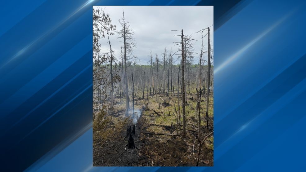Brush fire in Chepachet burns 4 acres of woods