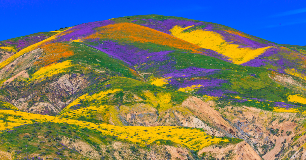10 rare US natural wonders you can only see at the right moment