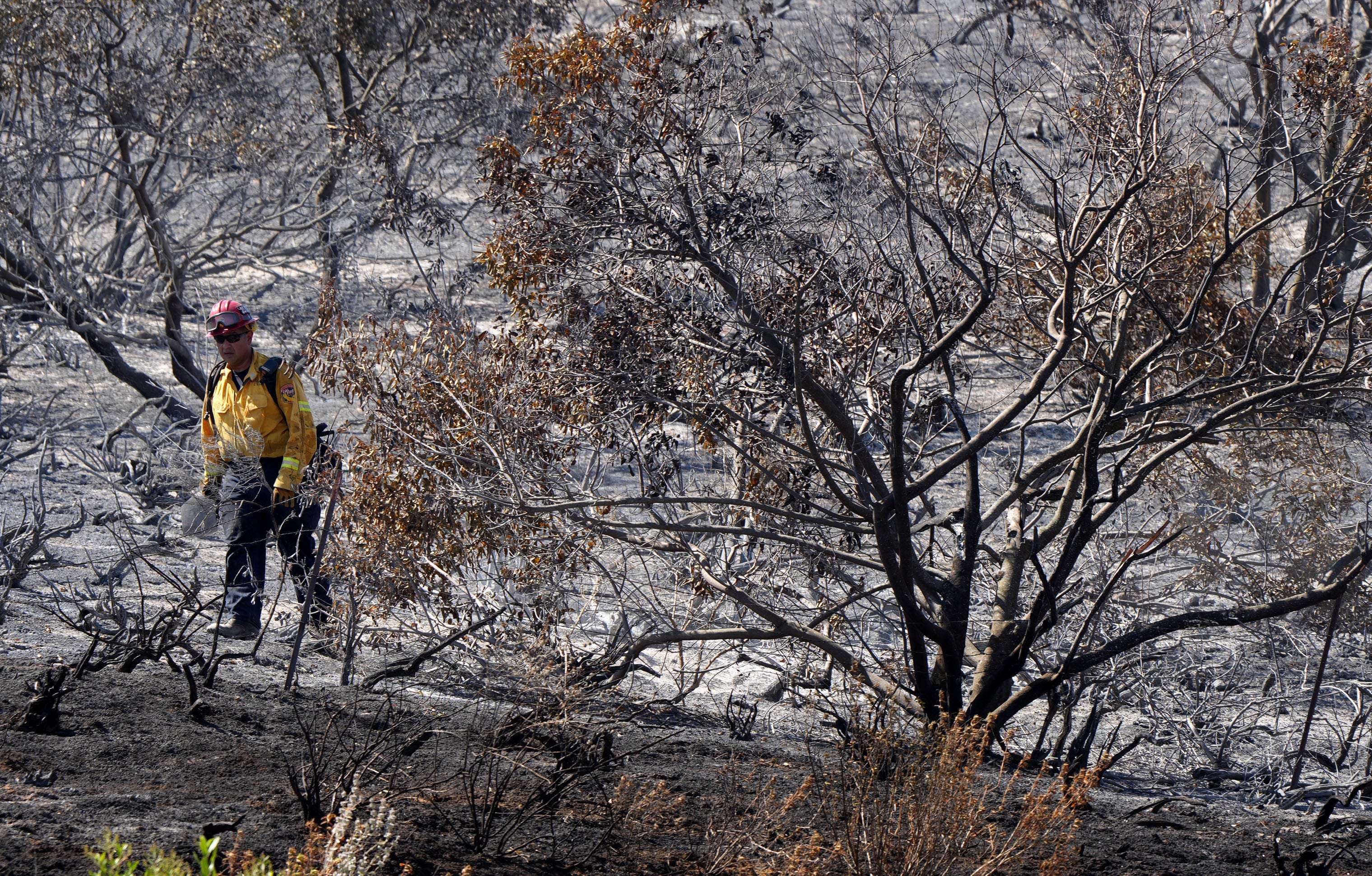 Officials say Sandy Fire efforts 'looking really good' on Saturday