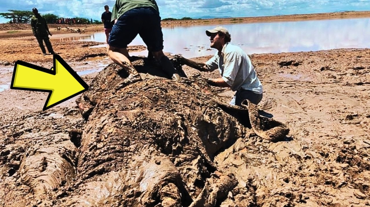 Fisherman spots strange shape in mud, what he discovers is unbelievable
