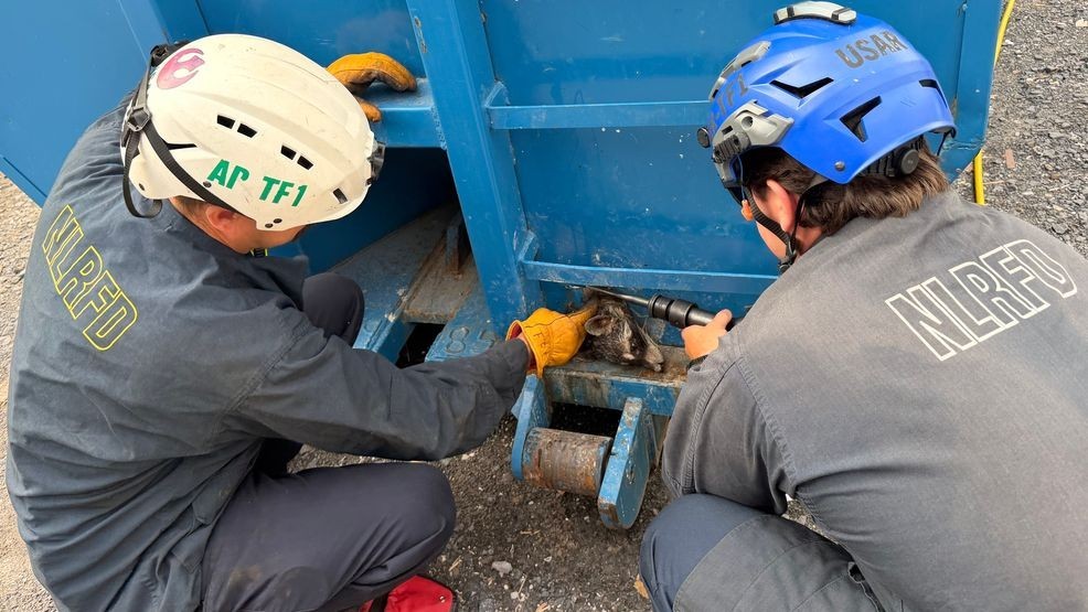 North Little Rock firefighters, Animal Services rescue raccoon trapped ...