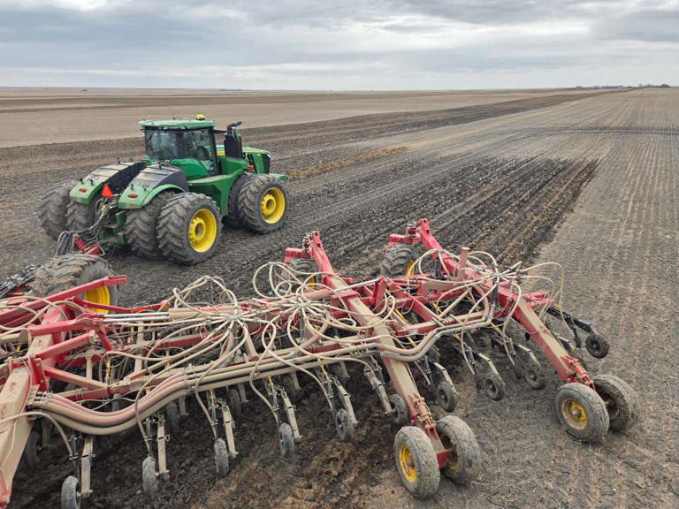 Saskatchewan farmers make up for lost time after spring seeding delayed ...